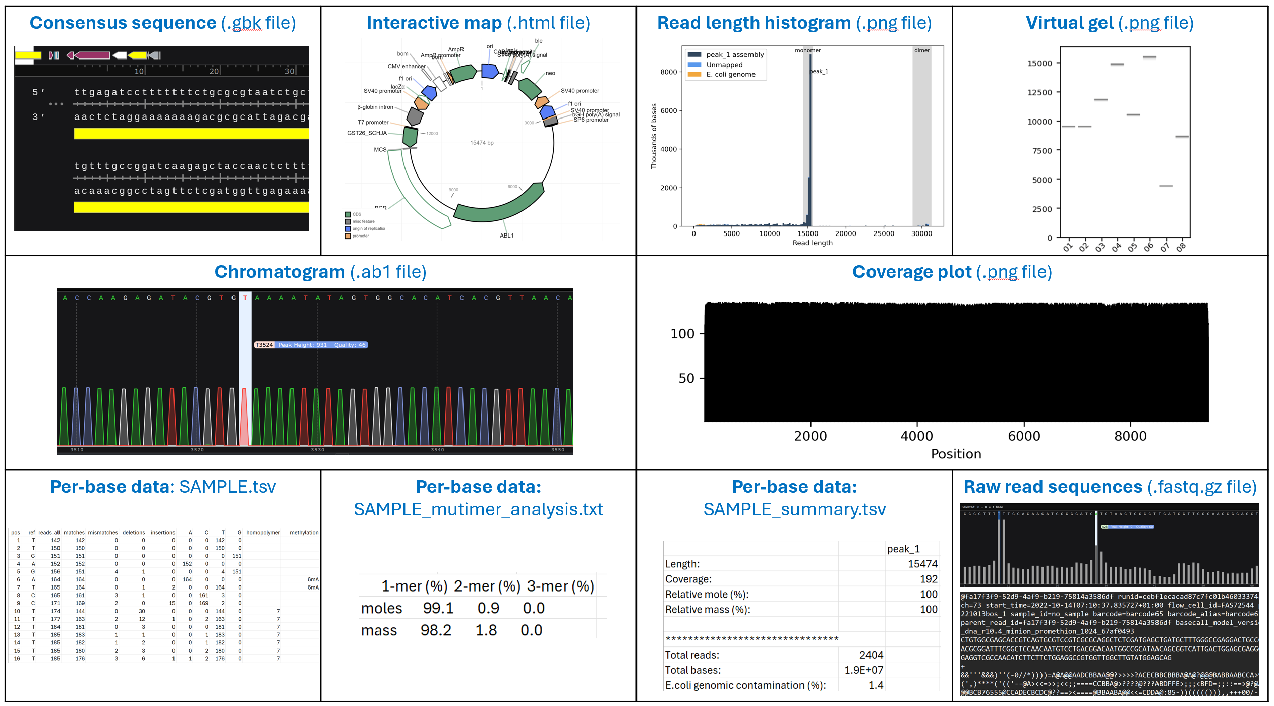 Results Interpretation Guide